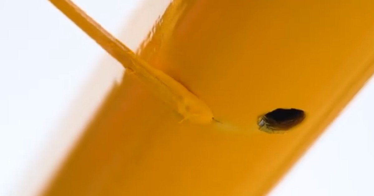 How to Fix Scratched Powder Coating: Easy Solutions! – Powder Coating ...